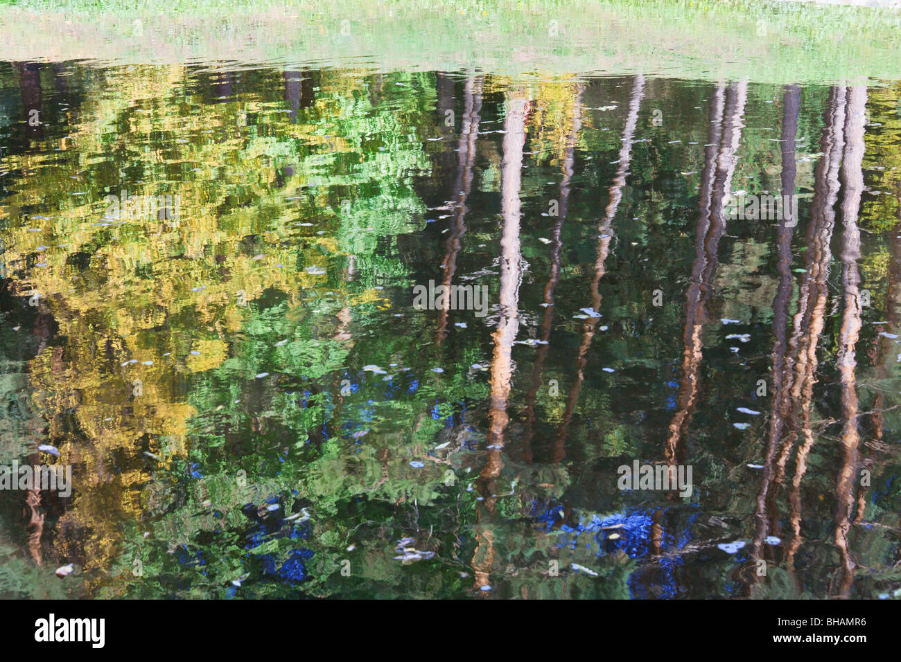Pond water surface with reflection of colorful trees and blue sky in ...
