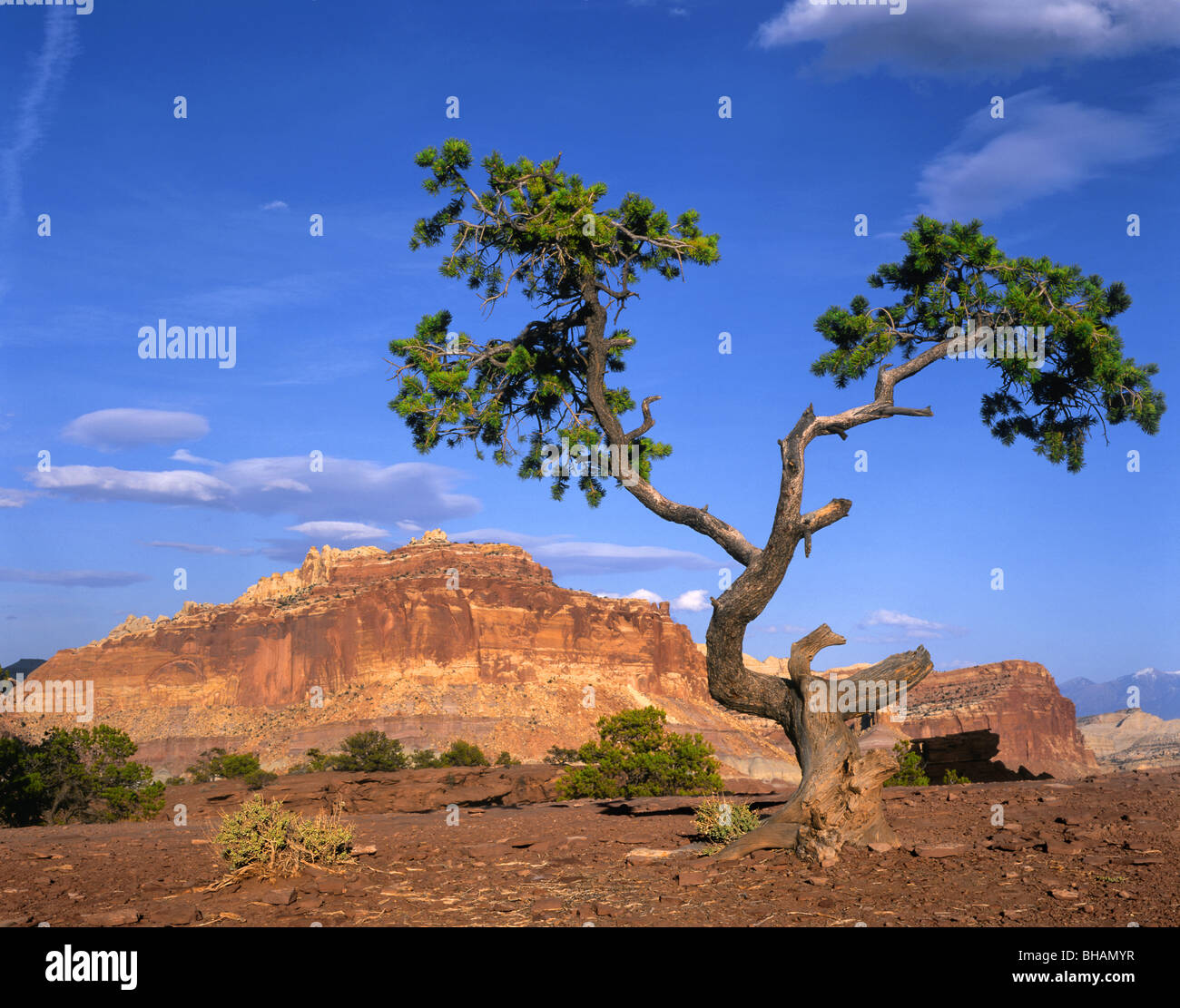 UTAH - View from Panorama Point in Capitol Reef National Park Stock ...