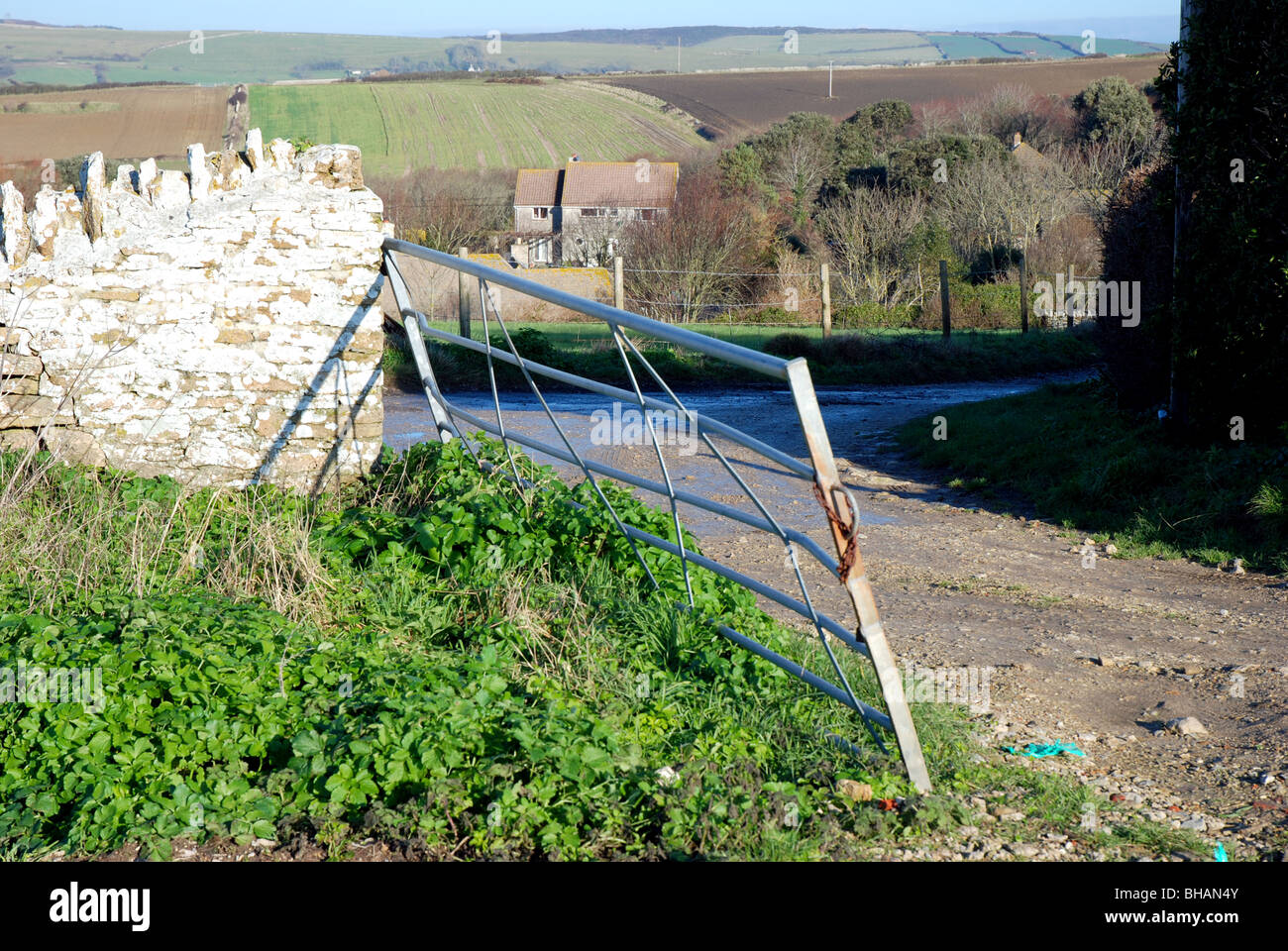 A Dorset landscape with a gate in the foreground Stock Photo - Alamy