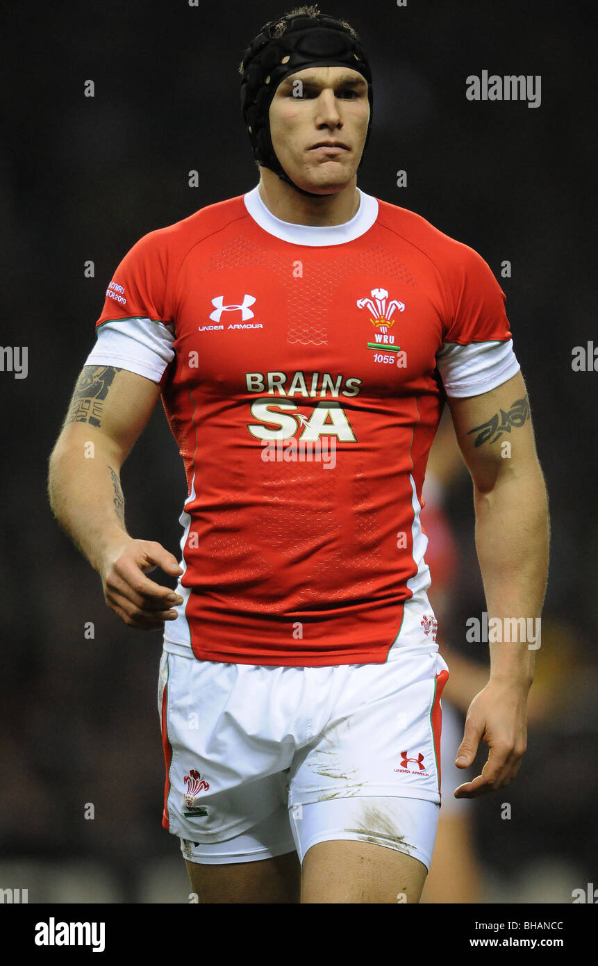 Cardiff blues hi-res stock photography and images - Alamy