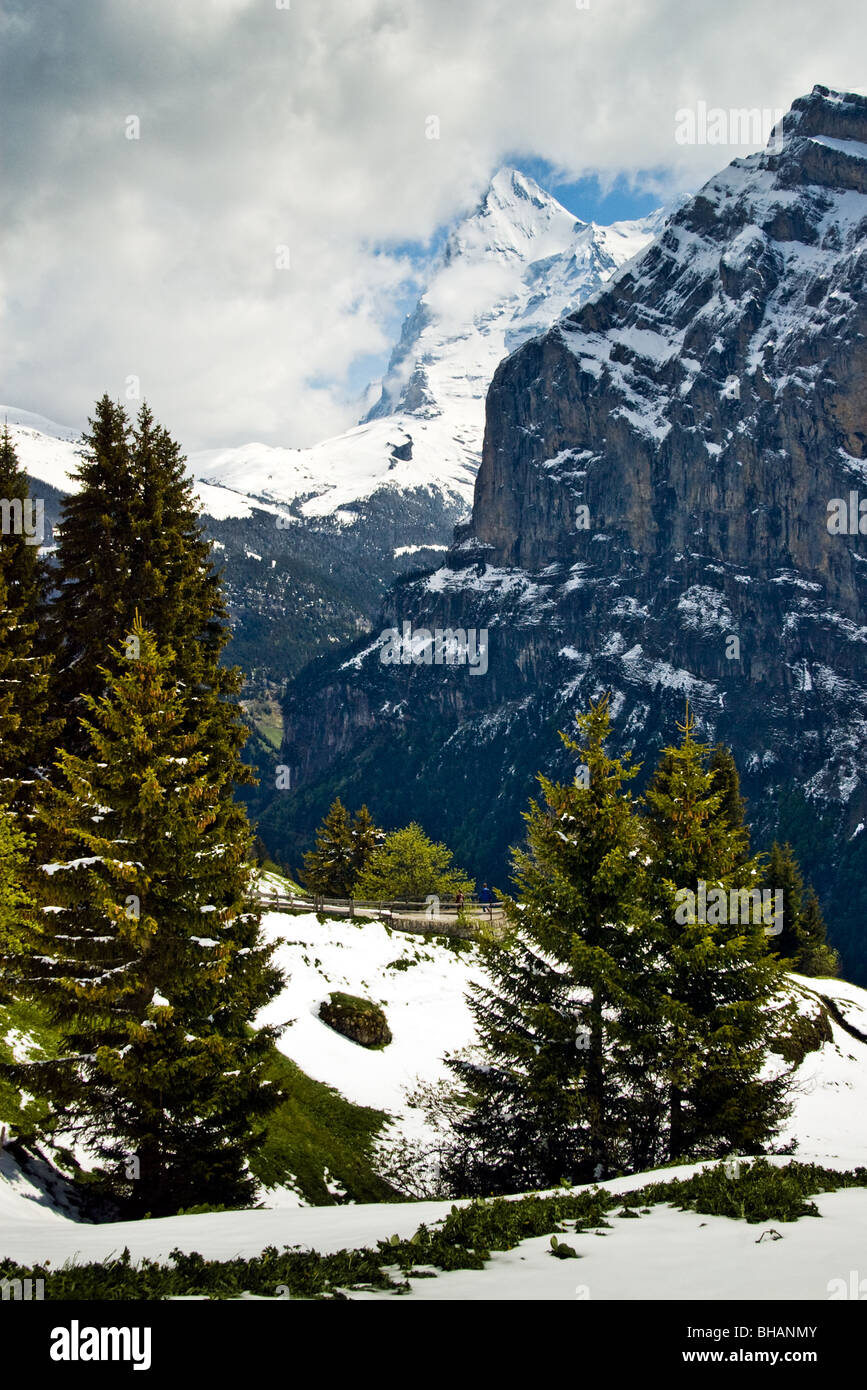 Eiger summit in snow mist, Bernese Oberland Stock Photo - Alamy