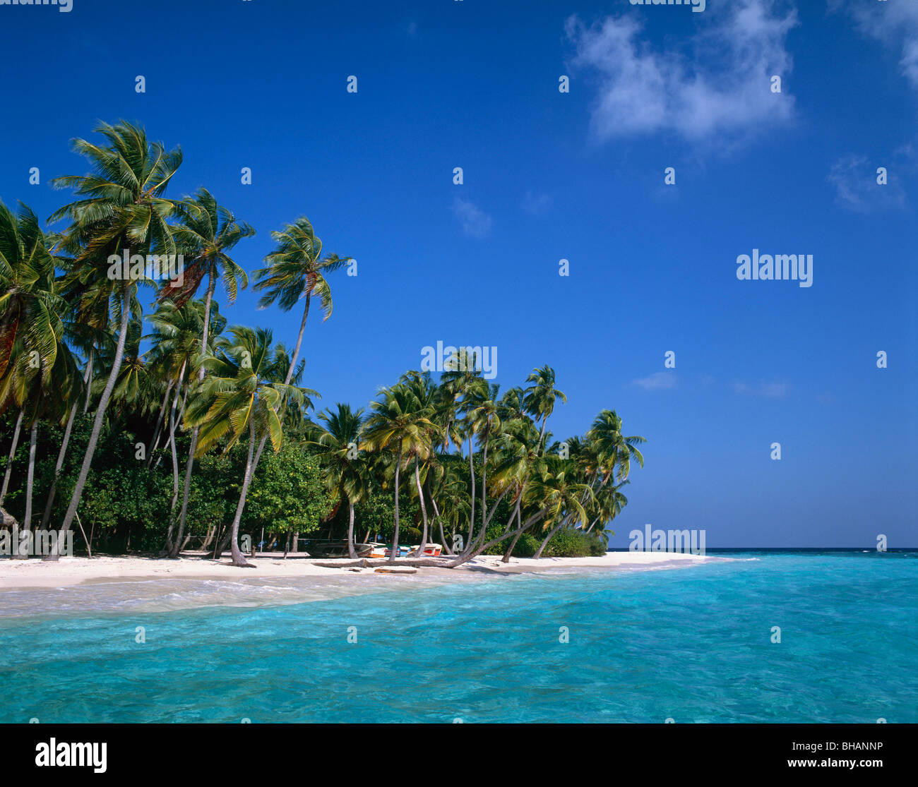 Beach with palm trees, Maldives Stock Photo - Alamy