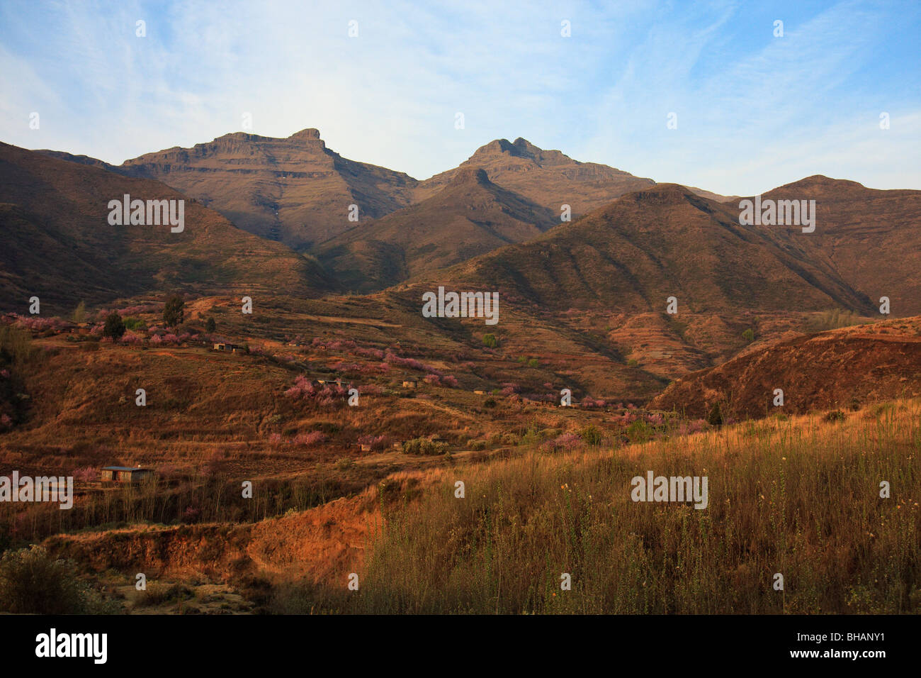 "golden hour" africa hi-res stock photography and images - Alamy