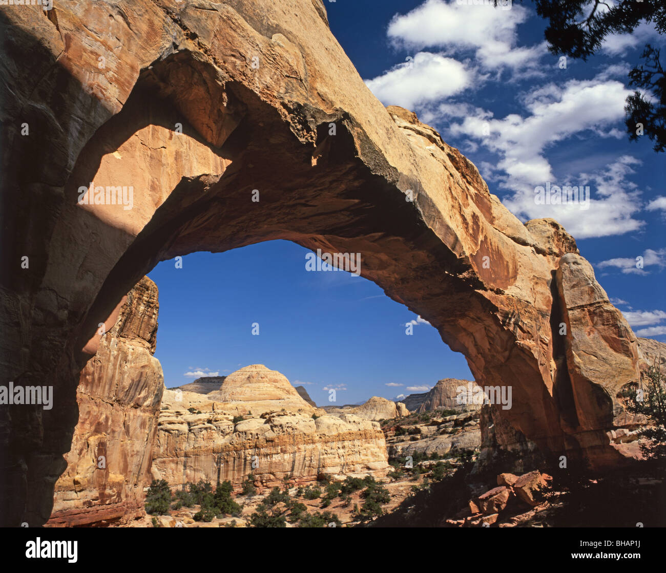 UTAH - Hickman Bridge in Capitol Reef National Park Stock Photo - Alamy