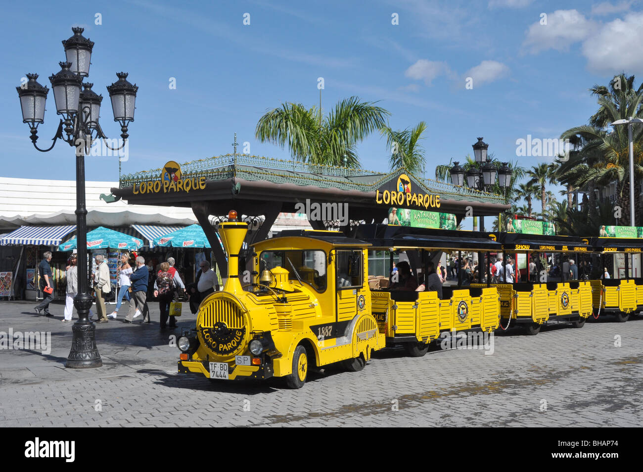 Loro Park Tourist Train Puerto de la Cruz Tenerife Stock Photo - Alamy