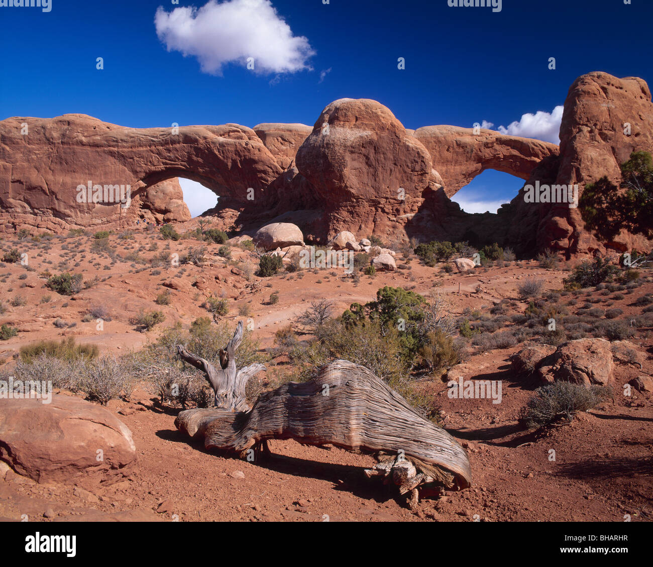 The Spectacles, North and South Window, Arches National Park, Utah, USA ...