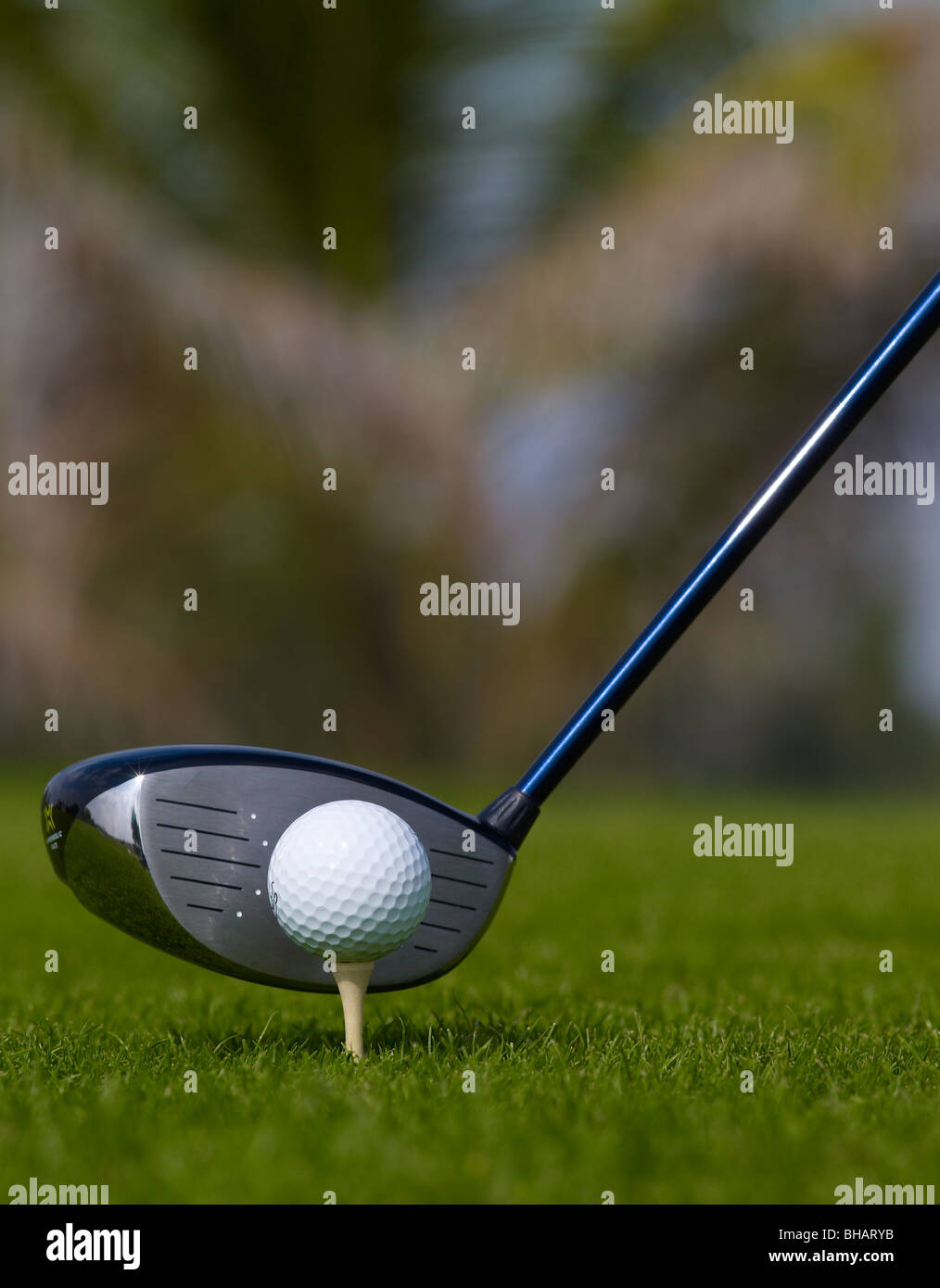Addressing golf ball hi-res stock photography and images - Alamy