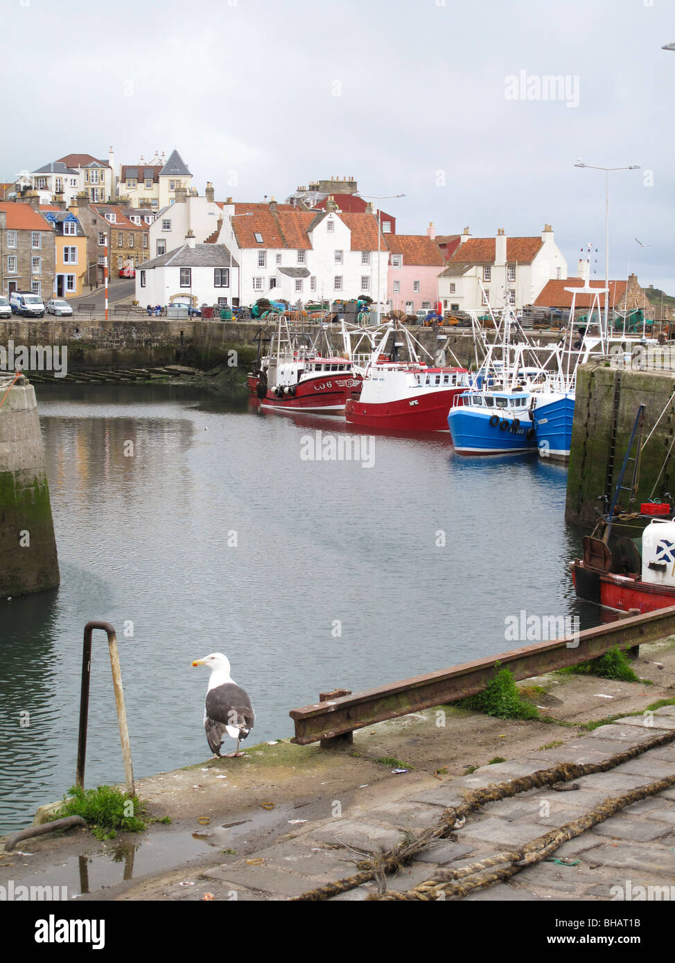 Pittenweem harbour scotland hi-res stock photography and images - Alamy