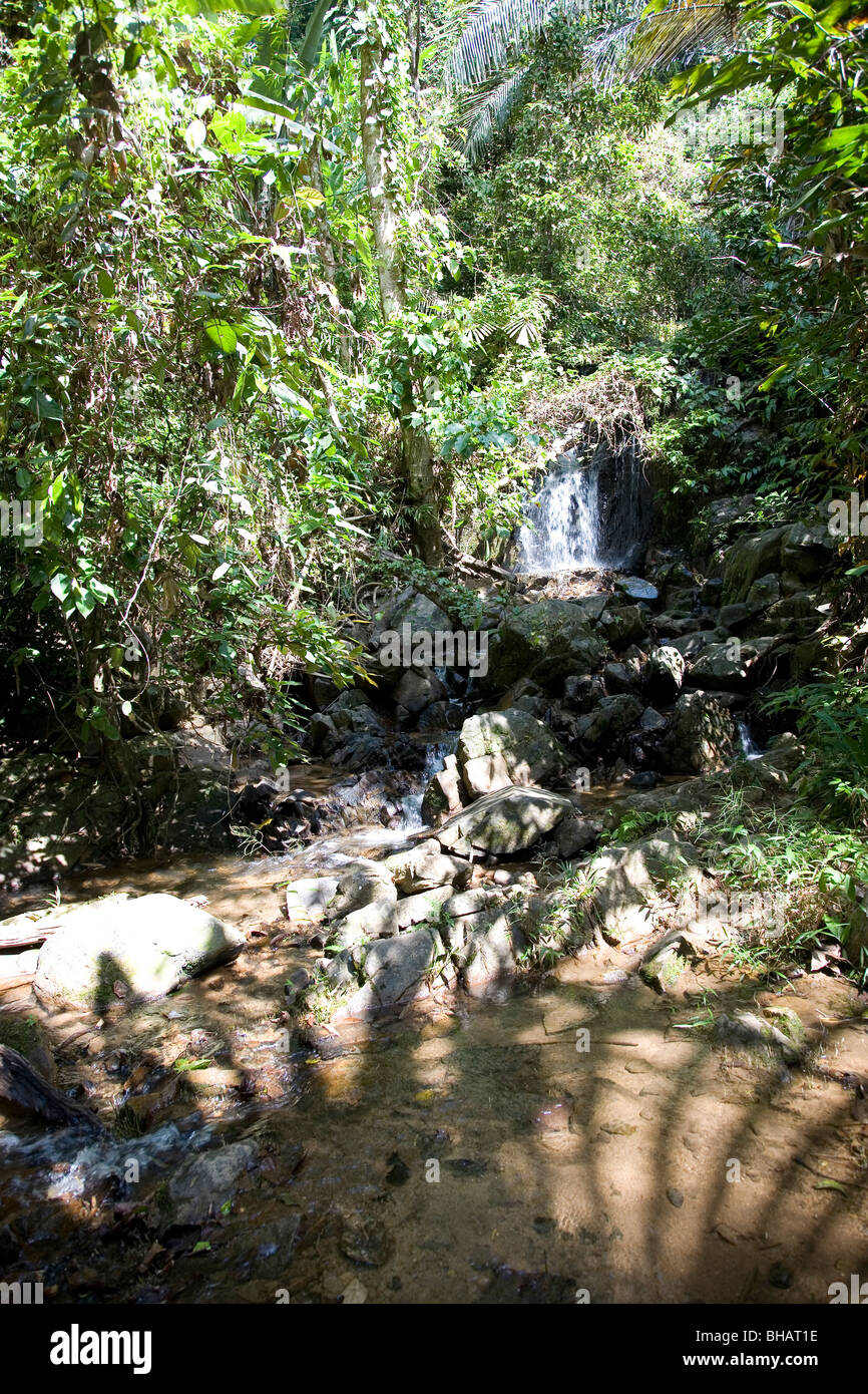 Khao phra thaeo national park waterfall hi-res stock photography and ...