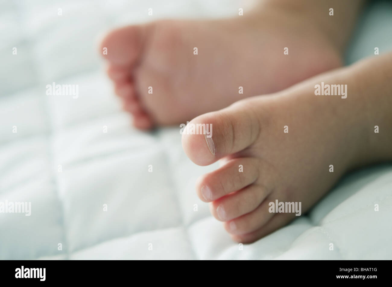 Closeup of baby's feet Stock Photo - Alamy
