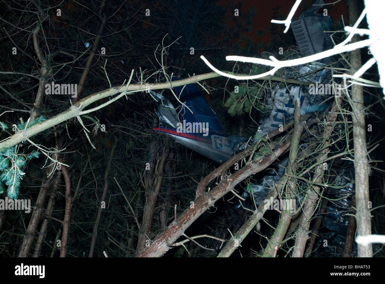 small light aircraft crashed into pine trees Stock Photo - Alamy