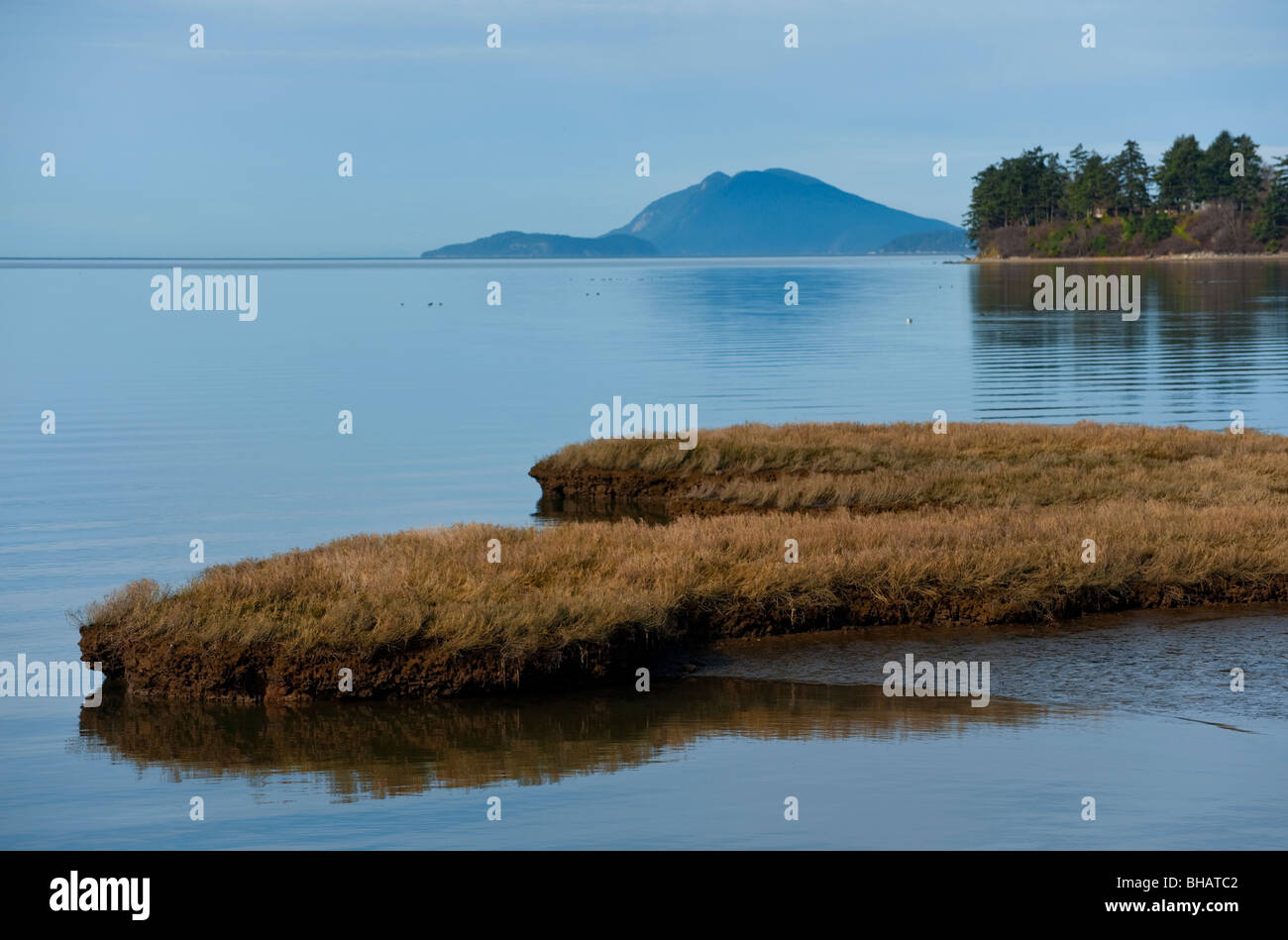 Padilla Bay is an estuary at the saltwater edge of the large delta of ...