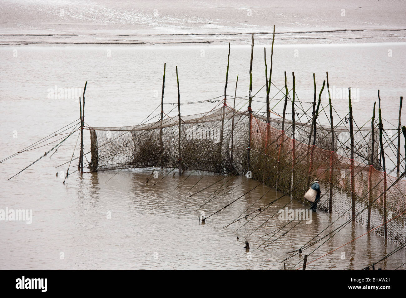 Salmon nets hi-res stock photography and images - Alamy
