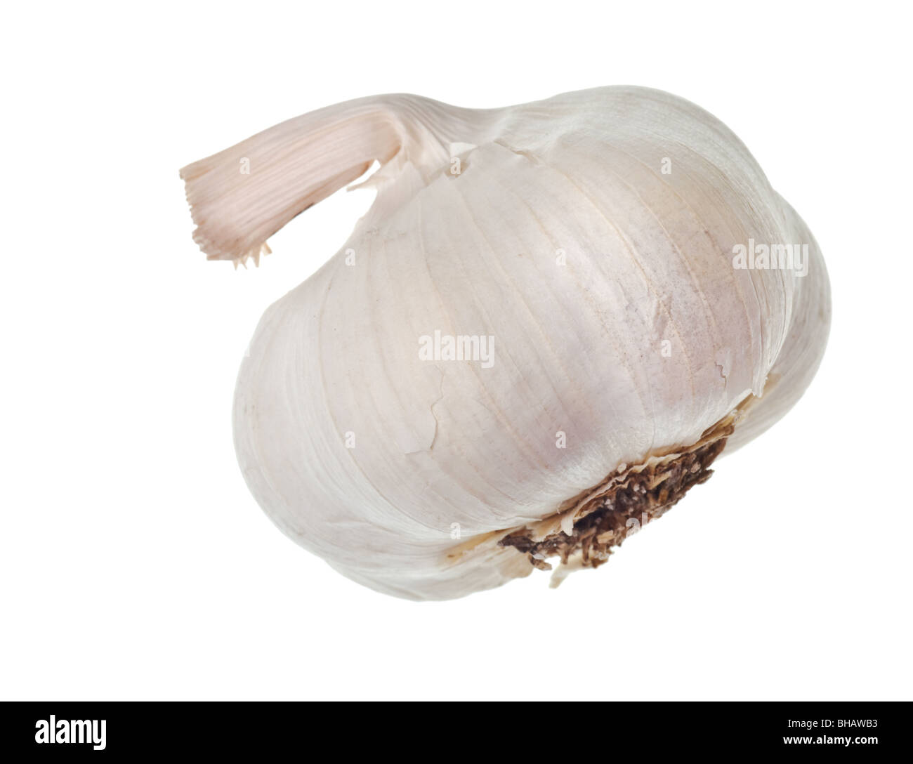 garlic isolated on a pure white background Stock Photo - Alamy