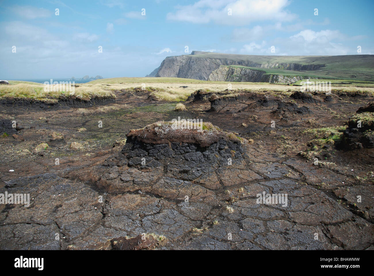 Detail of ground near coastal cliffs Stock Photo - Alamy