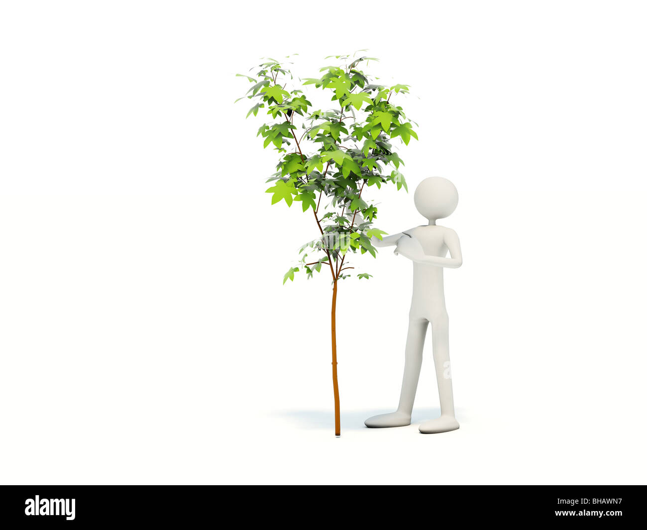 Man with tree isolated on white Stock Photo - Alamy
