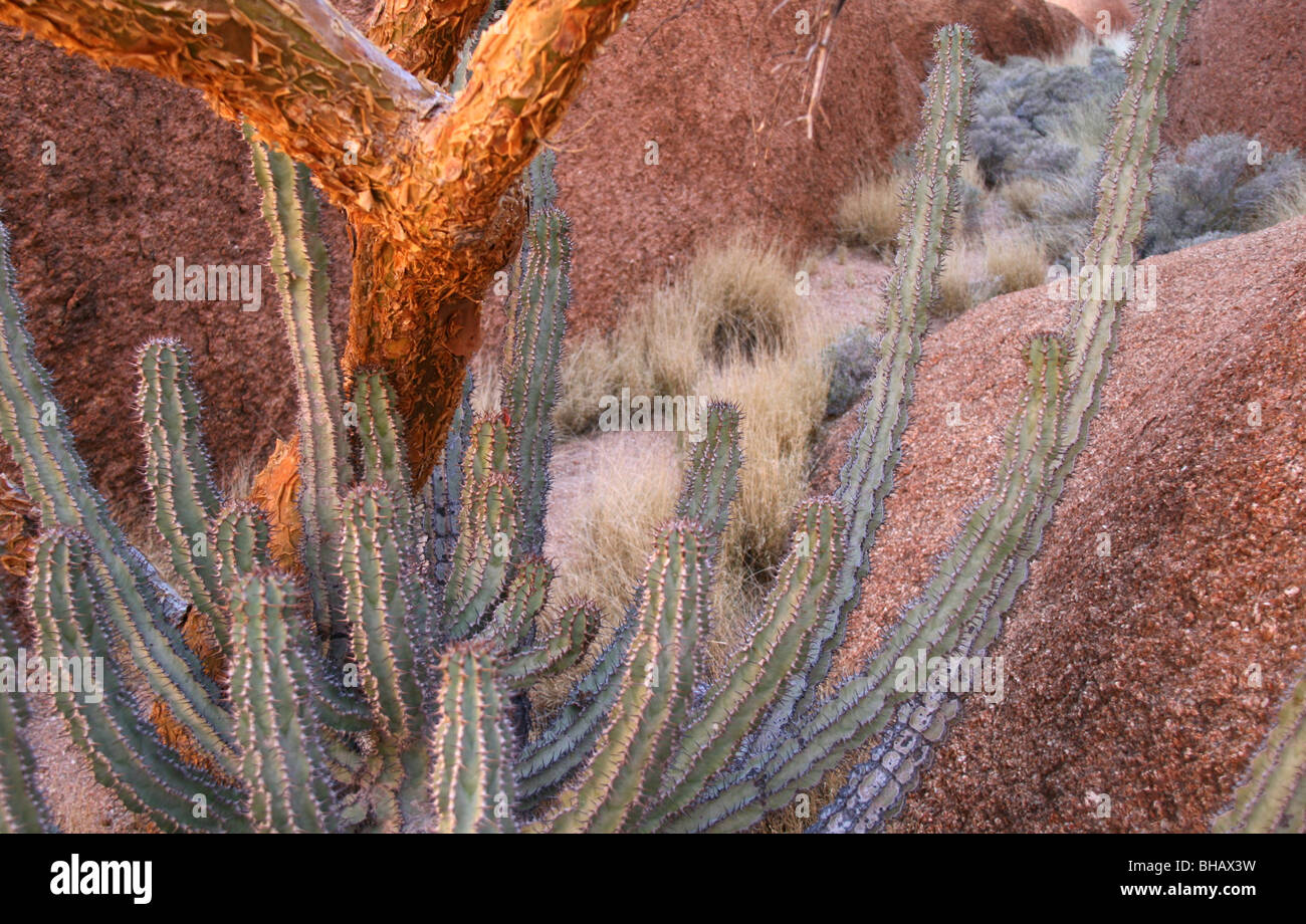 Spitzkoppe, Spitzkop, Groot Spitzkop, or the Matterhorn of Namibia is a ...