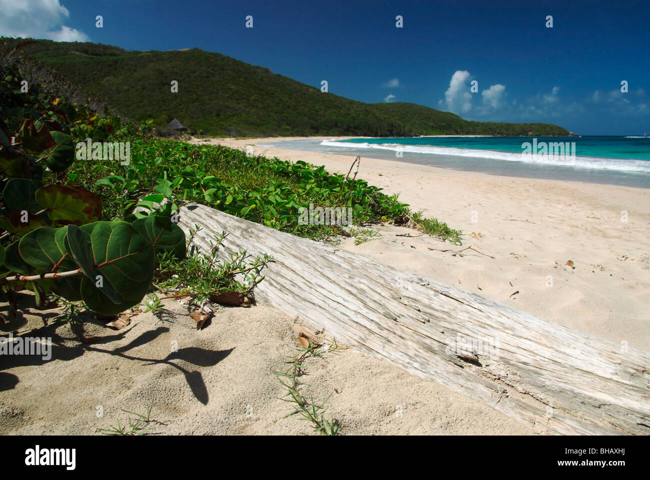 Beautiful deserted Caribbean beach on Canouan Island with yacht on the ...