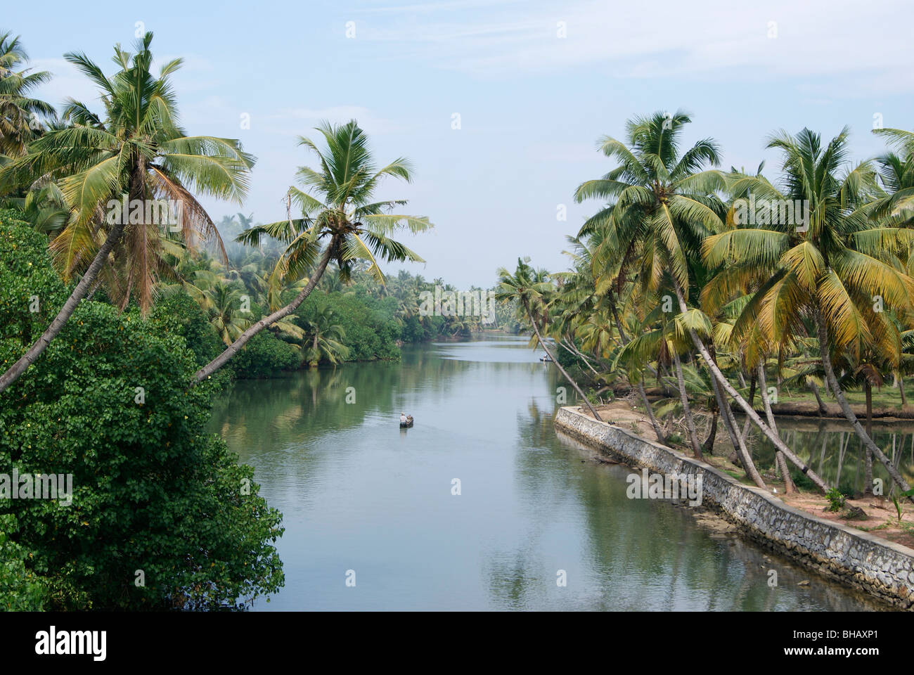 Sceneries of Kerala River landscapes with surrounded Coconut palms ...