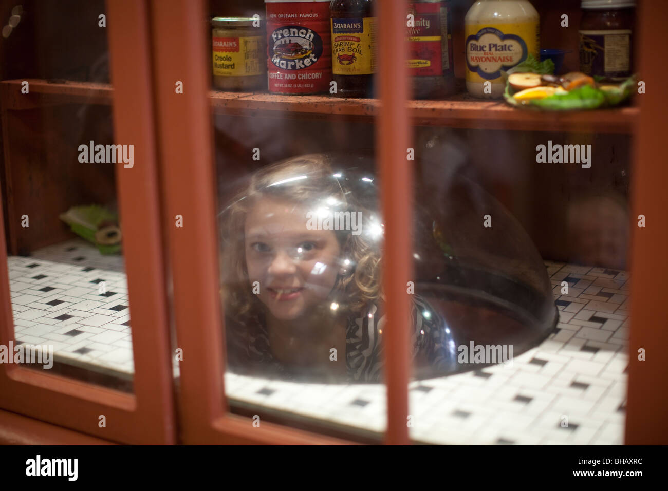 Display at Audubon Insectarium in New Orleans in which girl experiences ...