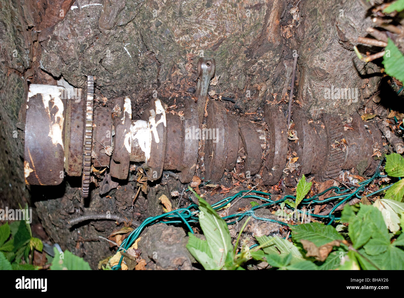A tree grows round an old engine component Stock Photo - Alamy