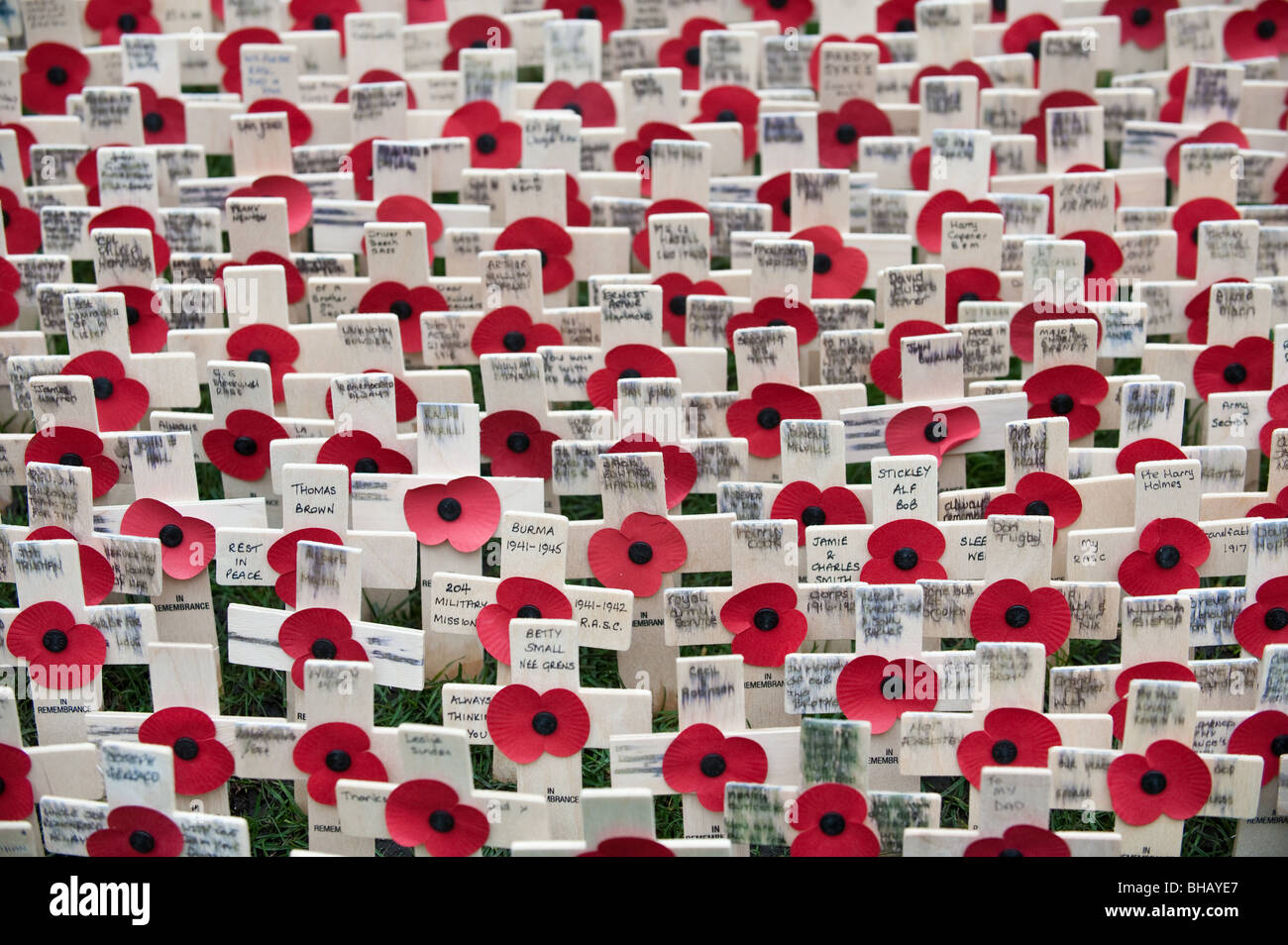 Thousands of crosses each one with a dedication to a loved one killed ...