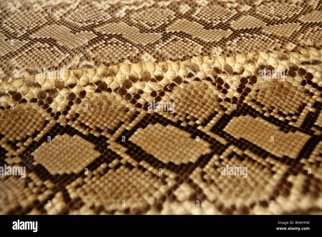 Background snake skin pattern brown and beige color Stock Photo - Alamy