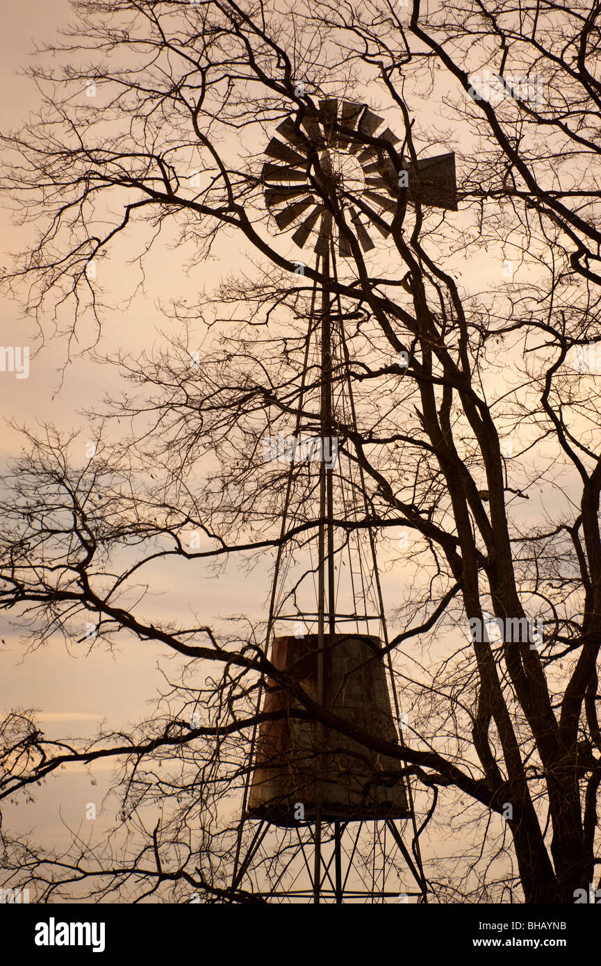 An old farm windmill, used to pump water, and a winter maple tree seen ...