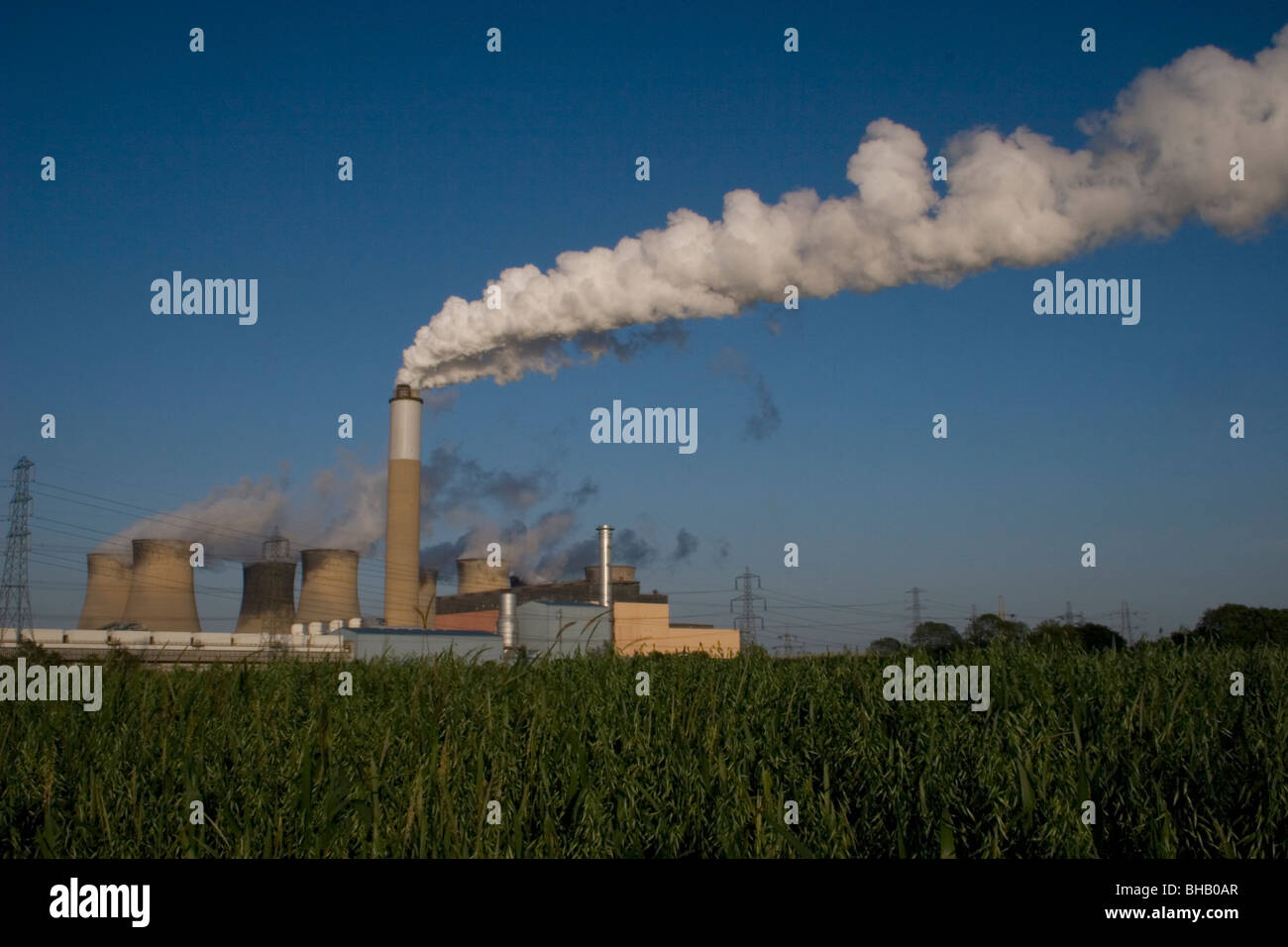 Nhenpo179d hi-res stock photography and images - Alamy