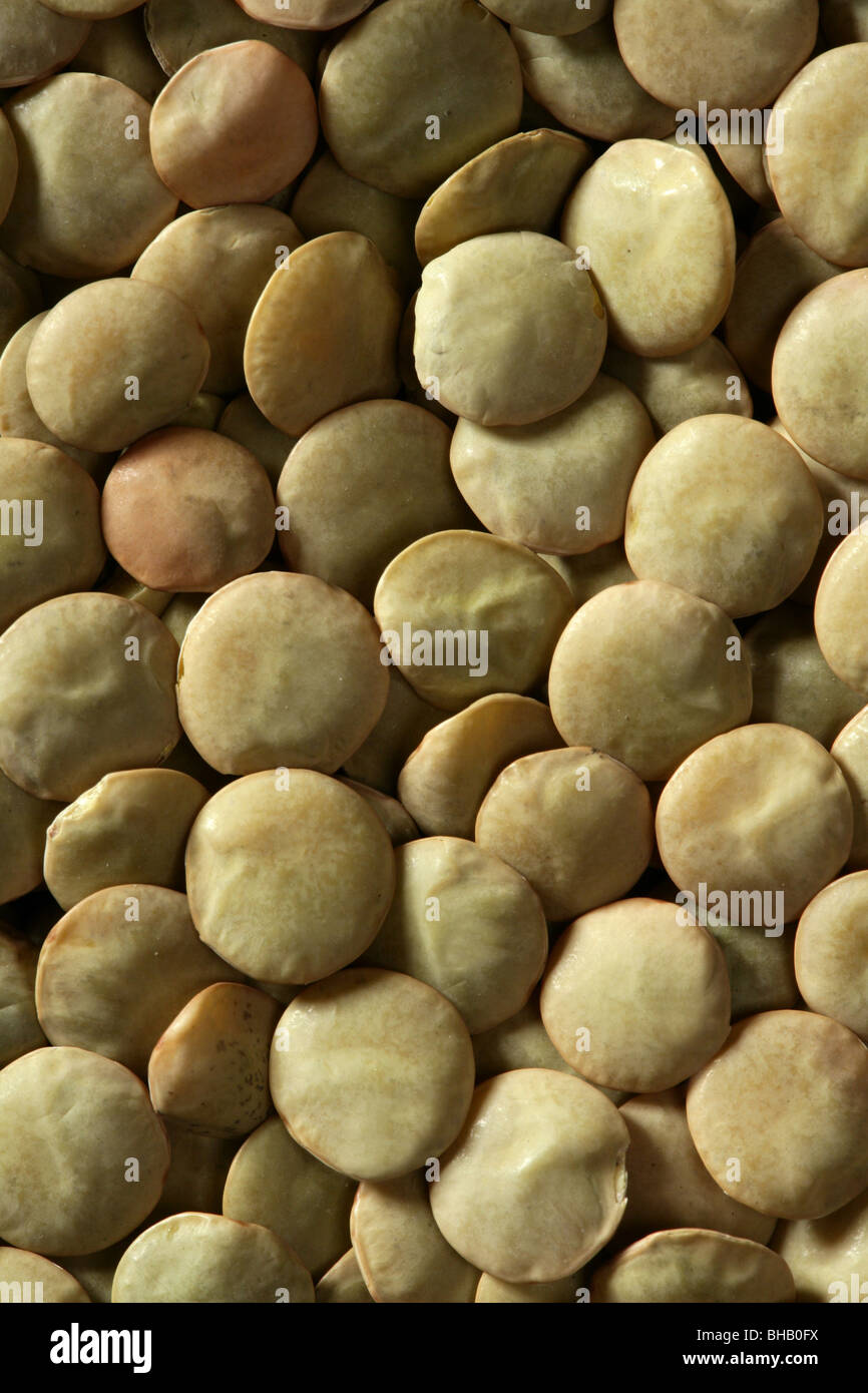 Lentils legumes, macro crop image, texture in brown color, background ...
