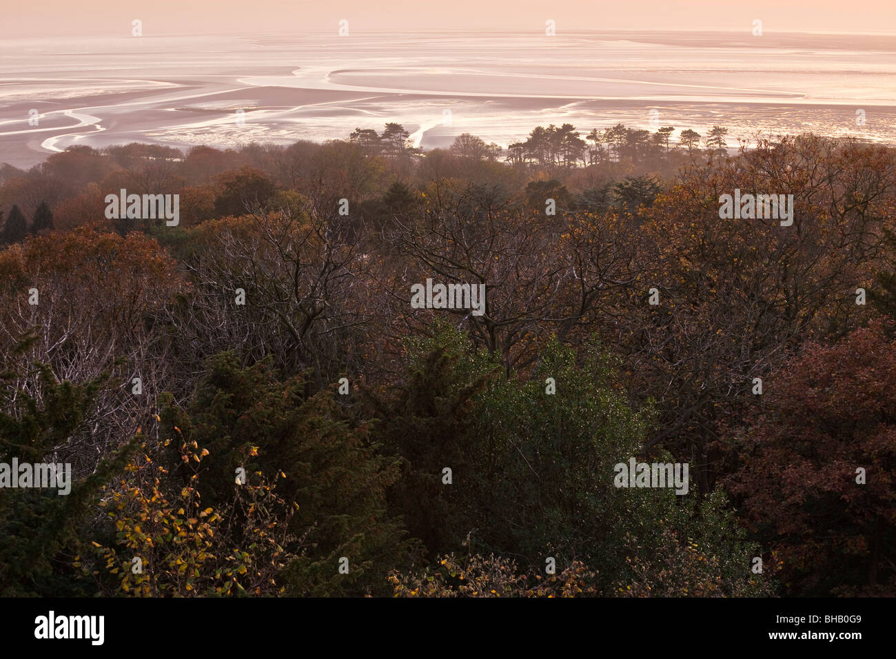 Sunset view across Morecambe Bay from Eaves Wood, Silverdale ...