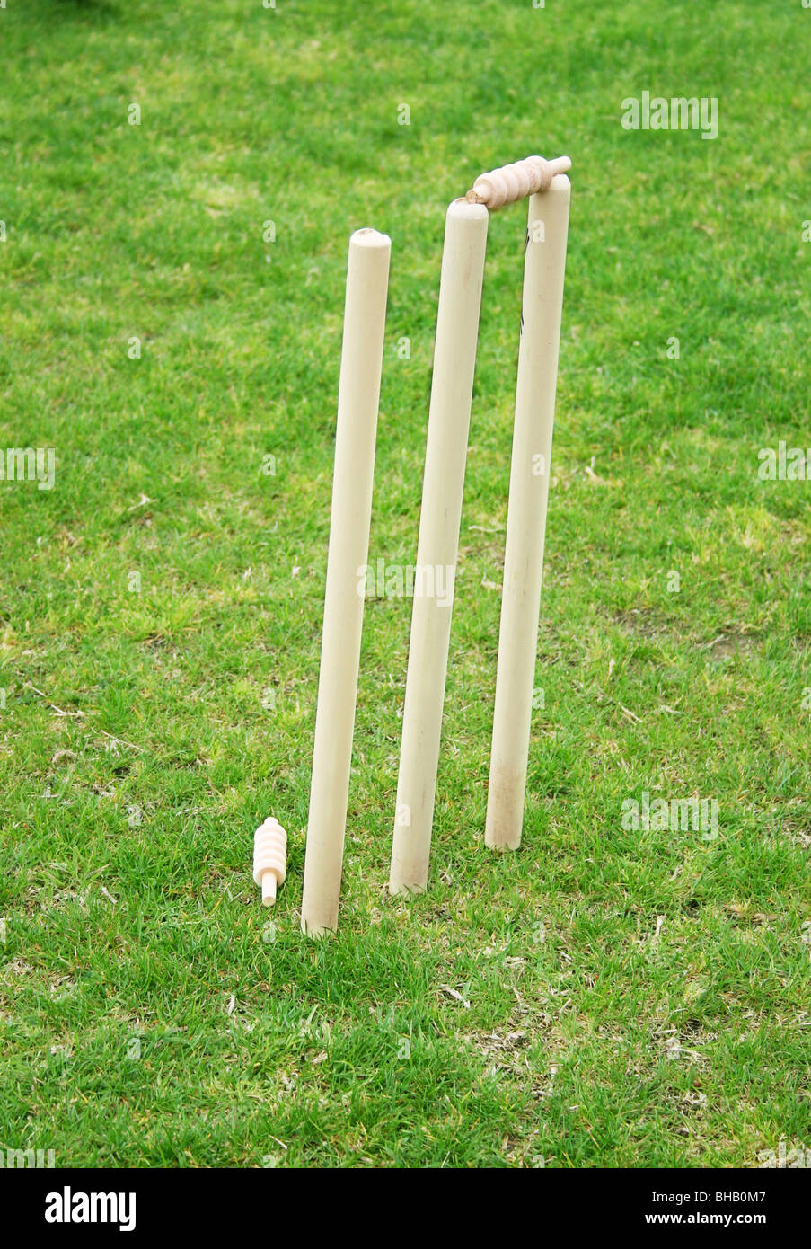 Cricket Stands High Resolution Stock Photography and Images - Alamy