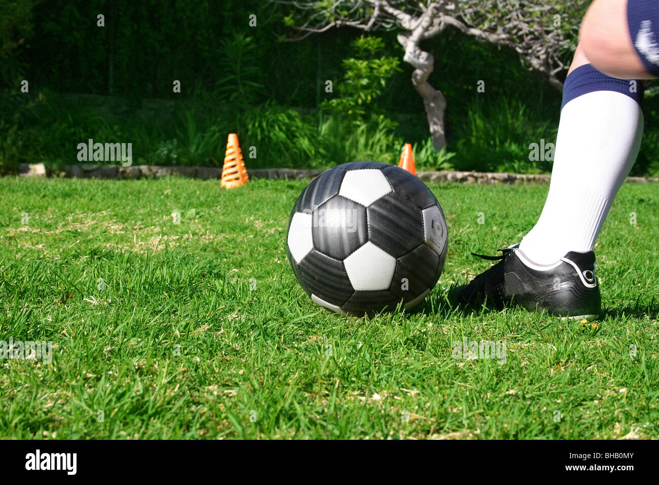 Football player about to kick football. Two orange cones in background ...