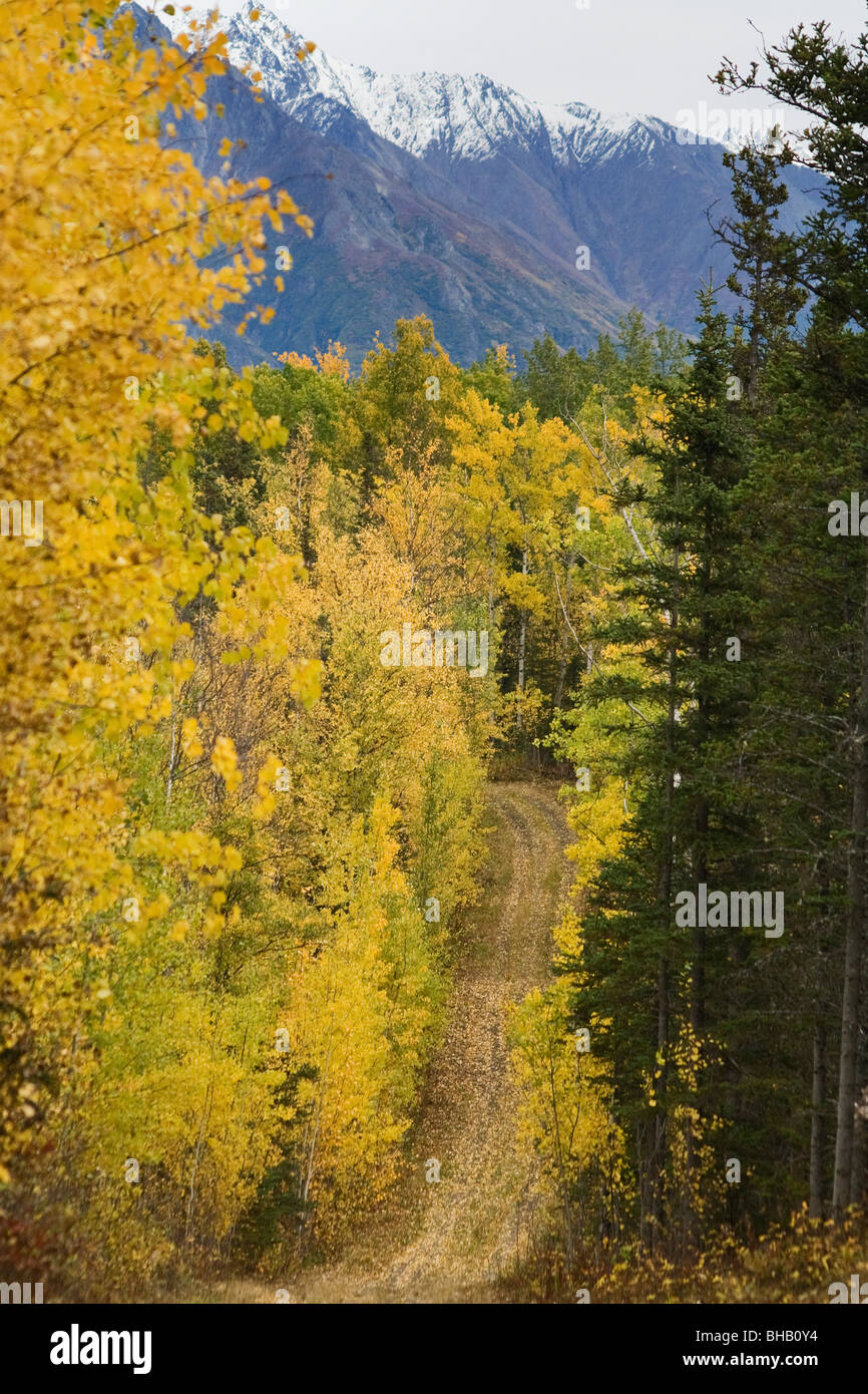 View of Chugach Mountains from the Crevasse Moraine Trail System in ...