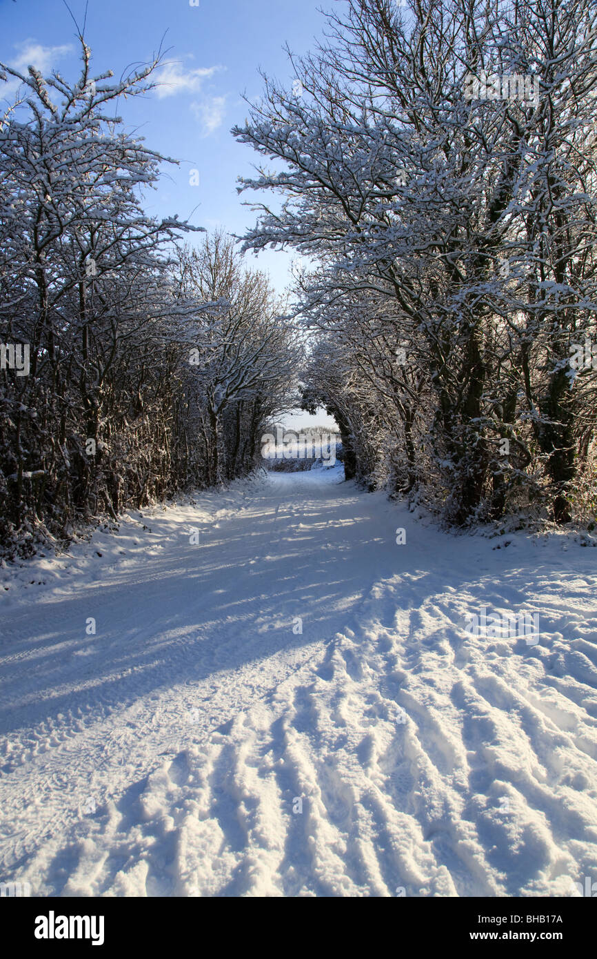 Country lane heavy snowfall winter hi-res stock photography and images ...