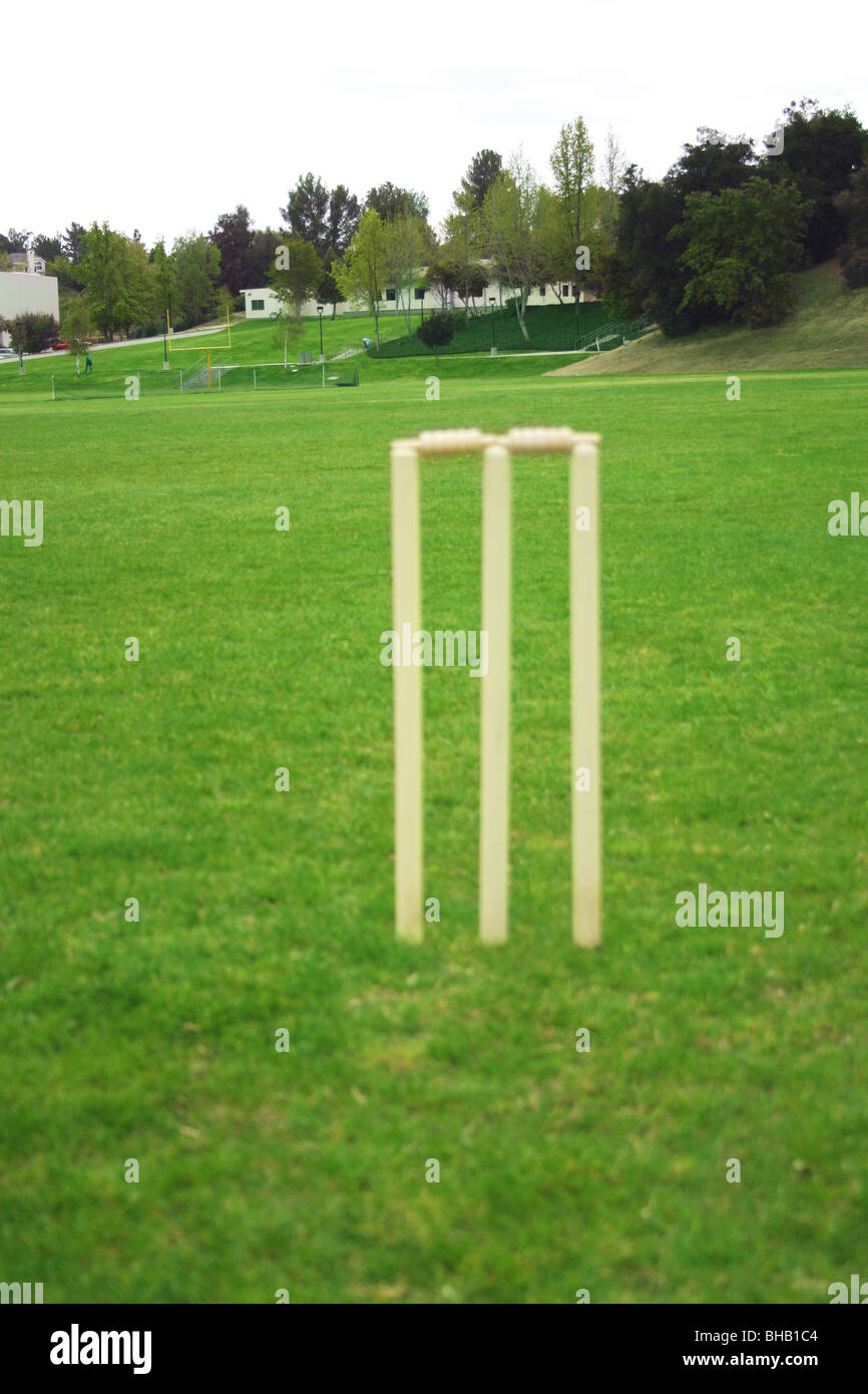 Three stumps with bails on grass wicket Stock Photo - Alamy