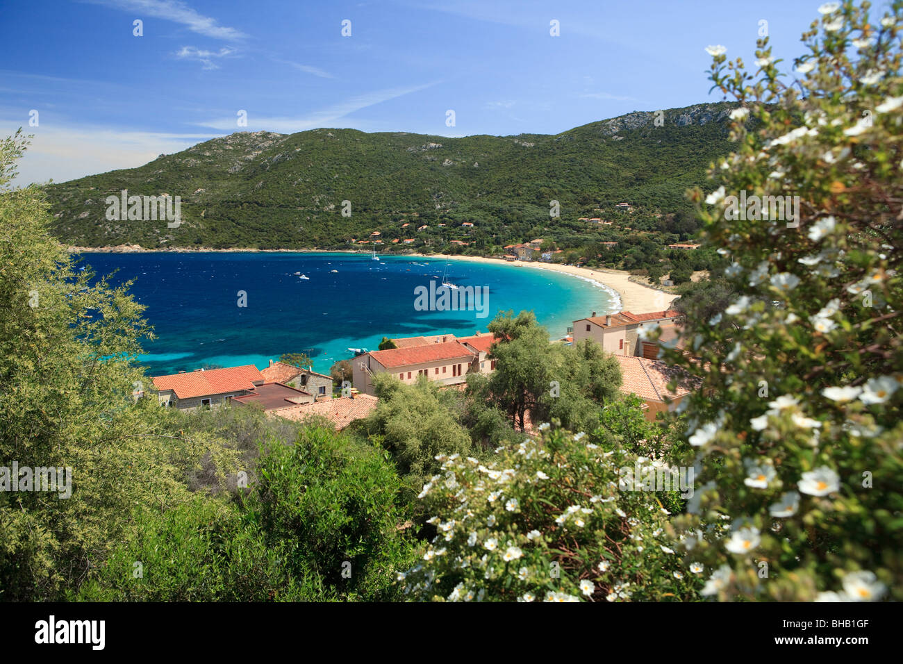 Moro Gulf High Resolution Stock Photography and Images - Alamy