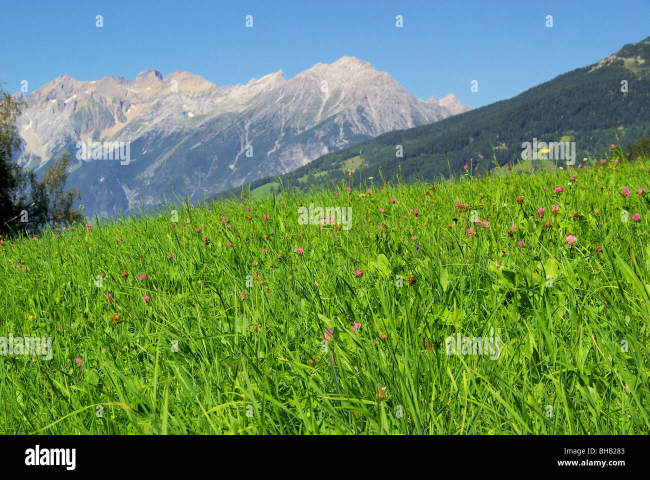 Venet hi-res stock photography and images - Alamy