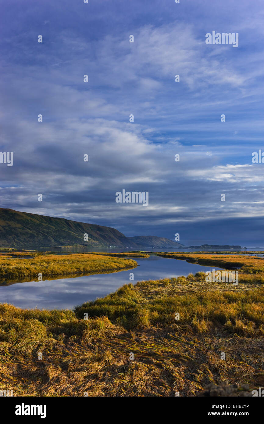 Scenic view of tidal slough along Womens Bay, Kodiak Island, Southwest ...