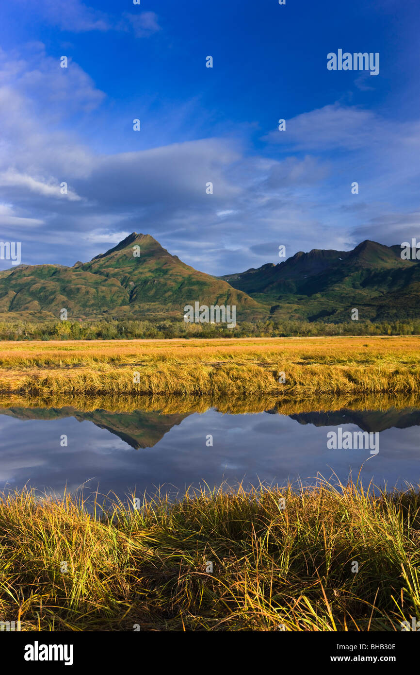 Tidal slough and mountain scenic along Womens Bay, early morning ...