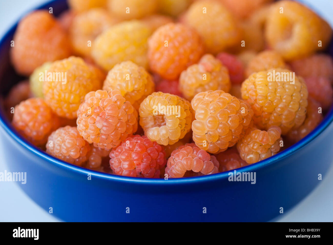 Plant characteristics hi-res stock photography and images - Alamy