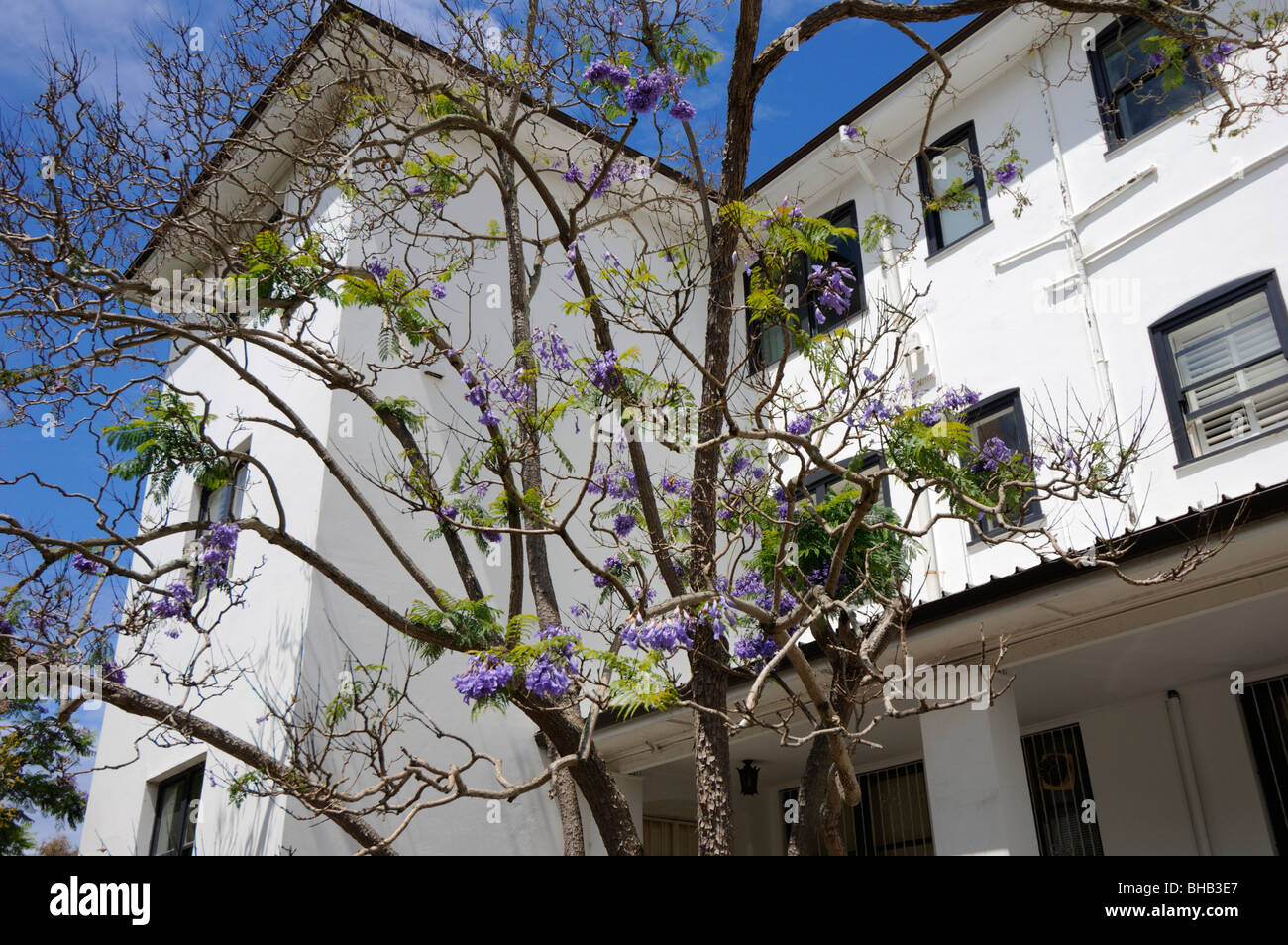 Residential homes in Sydney, Australia. Editorial use only Stock Photo ...