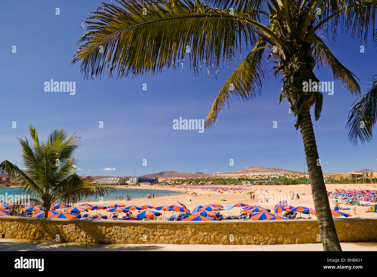 Caleta de Fuste Playa del Castillo Antigua Fuerteventura Canary Islands ...