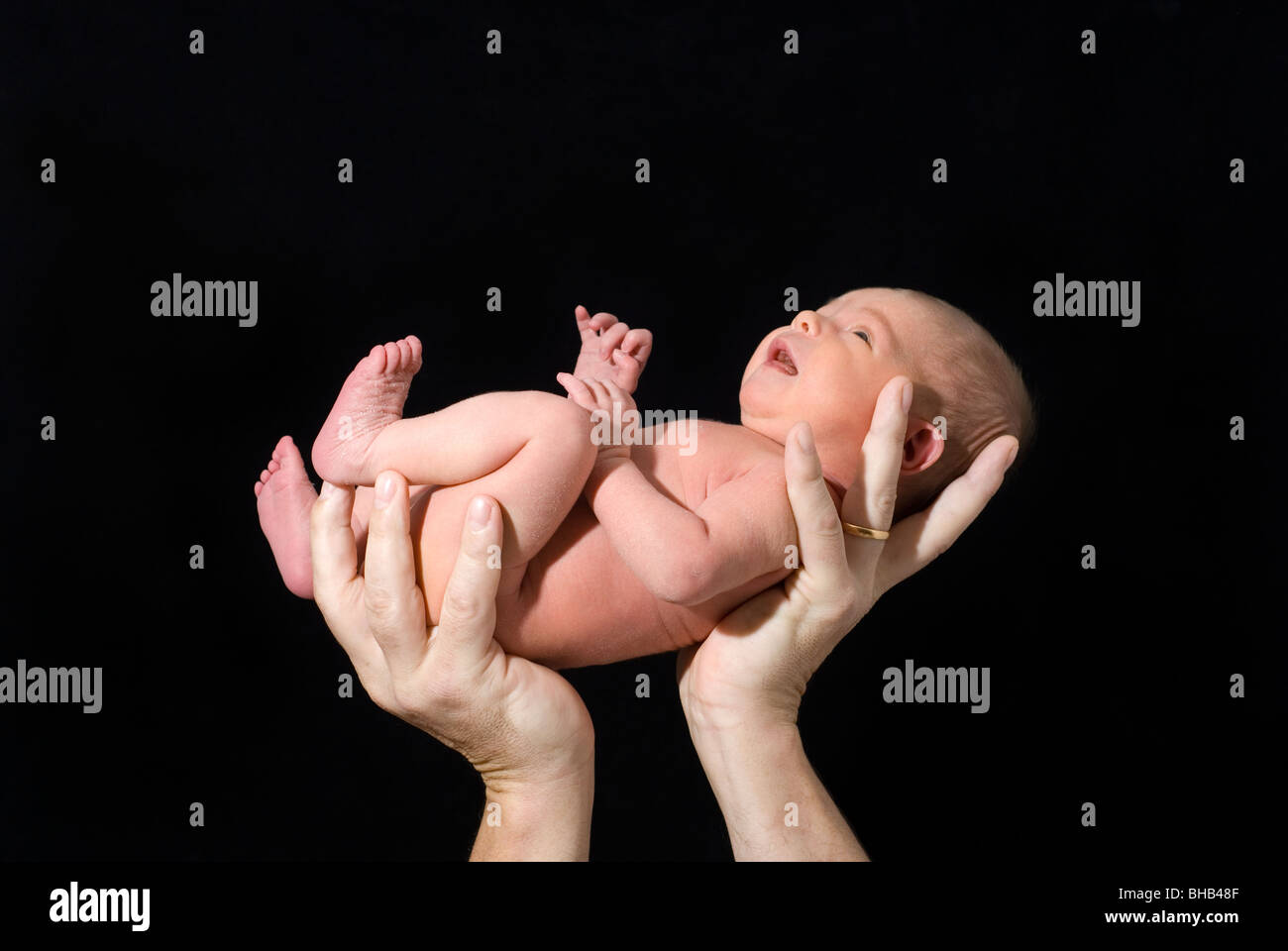 Newborn Baby Held Up in Fathers Hands Isolated on Black, Aged 13 days ...