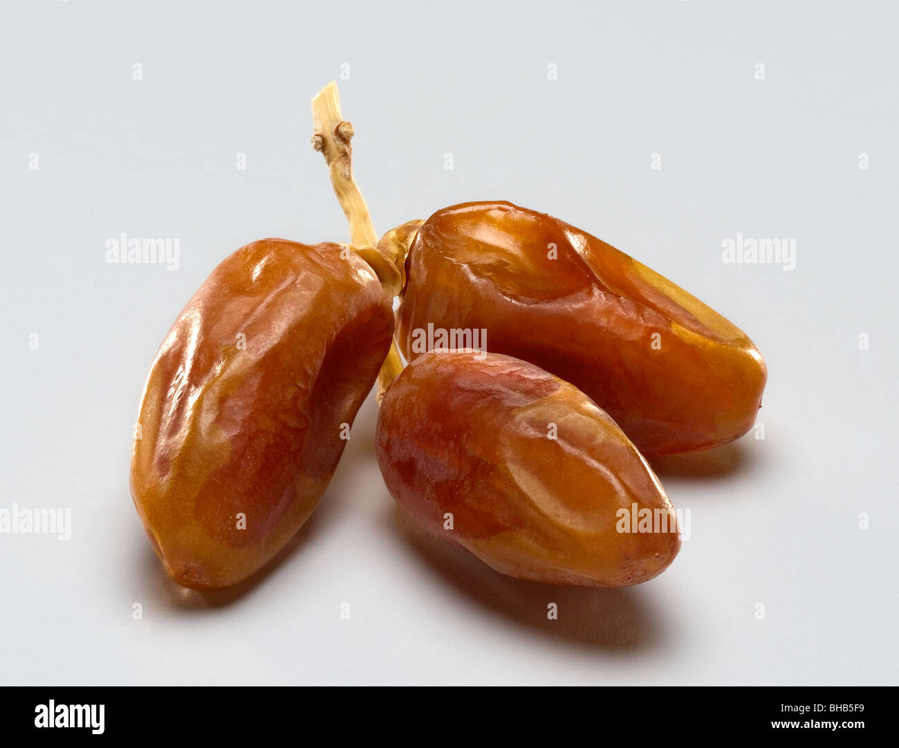 Nour noor hi-res stock photography and images - Alamy
