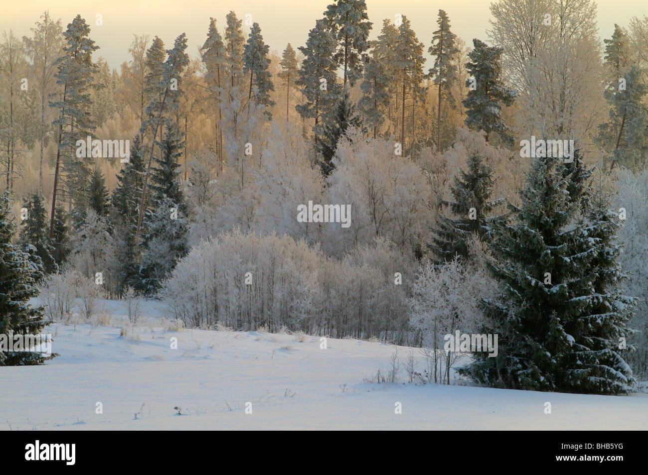 Finish winter hi-res stock photography and images - Alamy