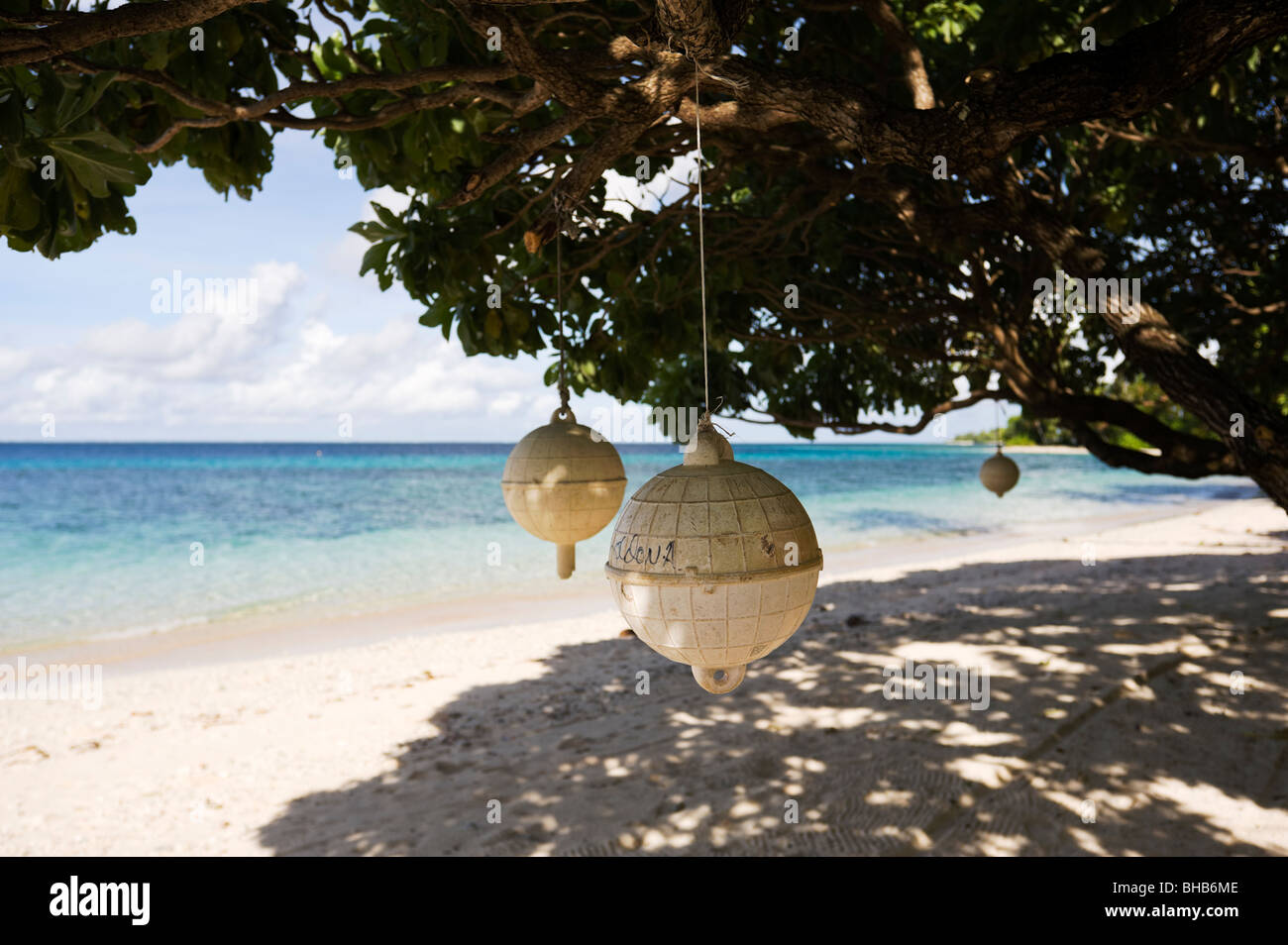 Buoys hung as decoration in a tree on the lagoon-side beach on Eneko ...