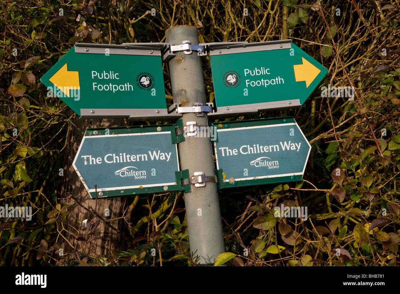 Chilterns way hi-res stock photography and images - Alamy
