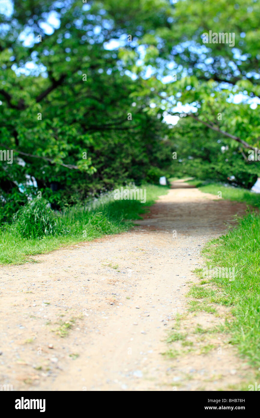 Japan, Tokyo Prefecture, Empty dirt track Stock Photo - Alamy