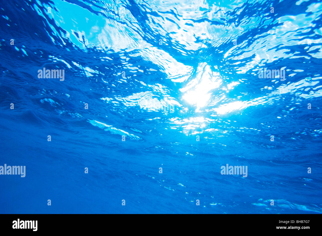 Blue toned underwater view of sunrays Stock Photo - Alamy